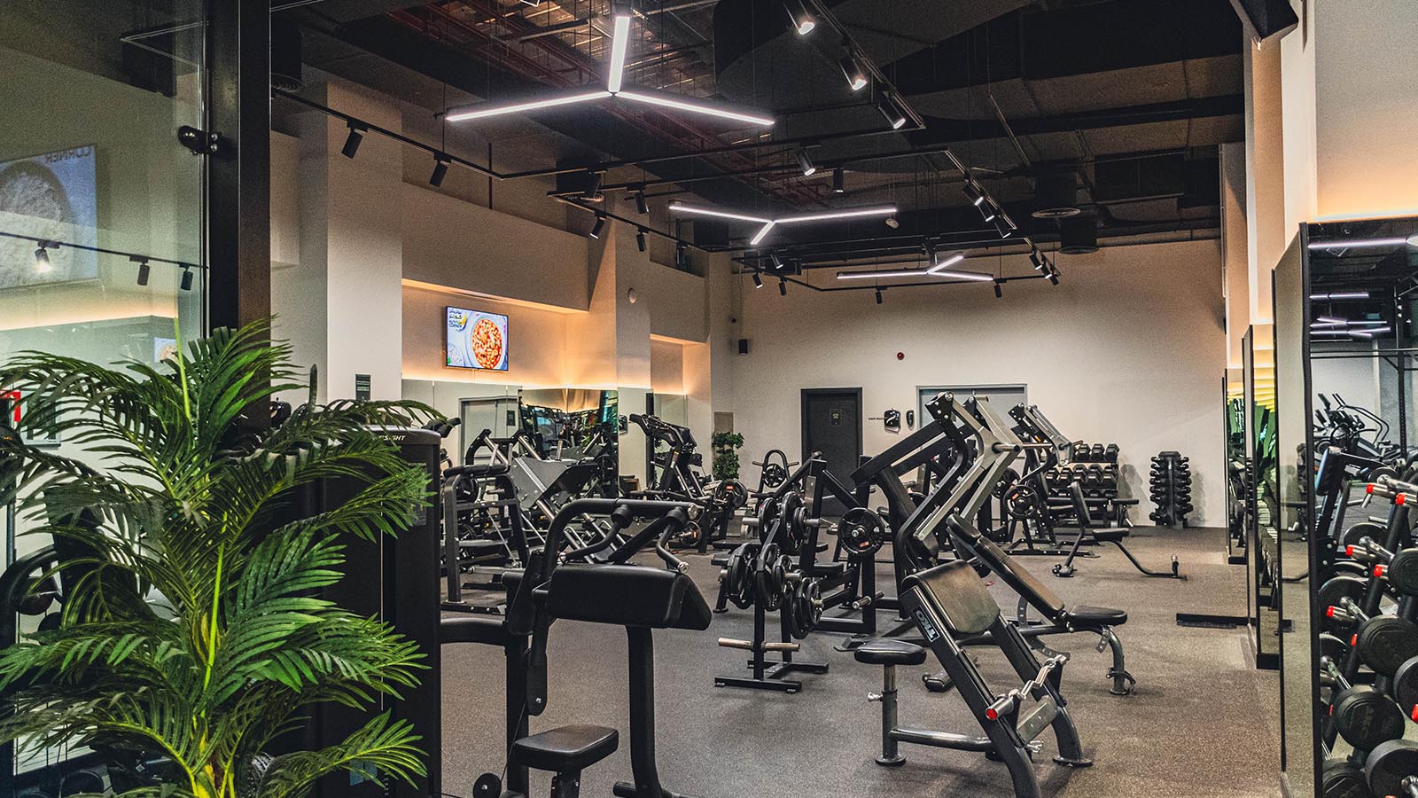How Platform Health Club became Sharjah’s iron oasis | Esquire Middle ...