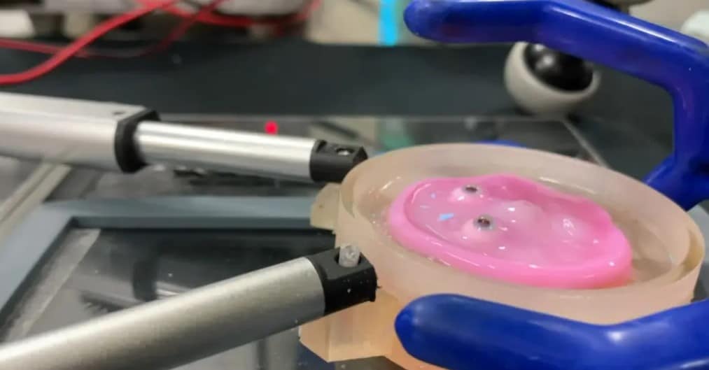 Real Life Terminator? Scientists have created a robot with lab-grown ...