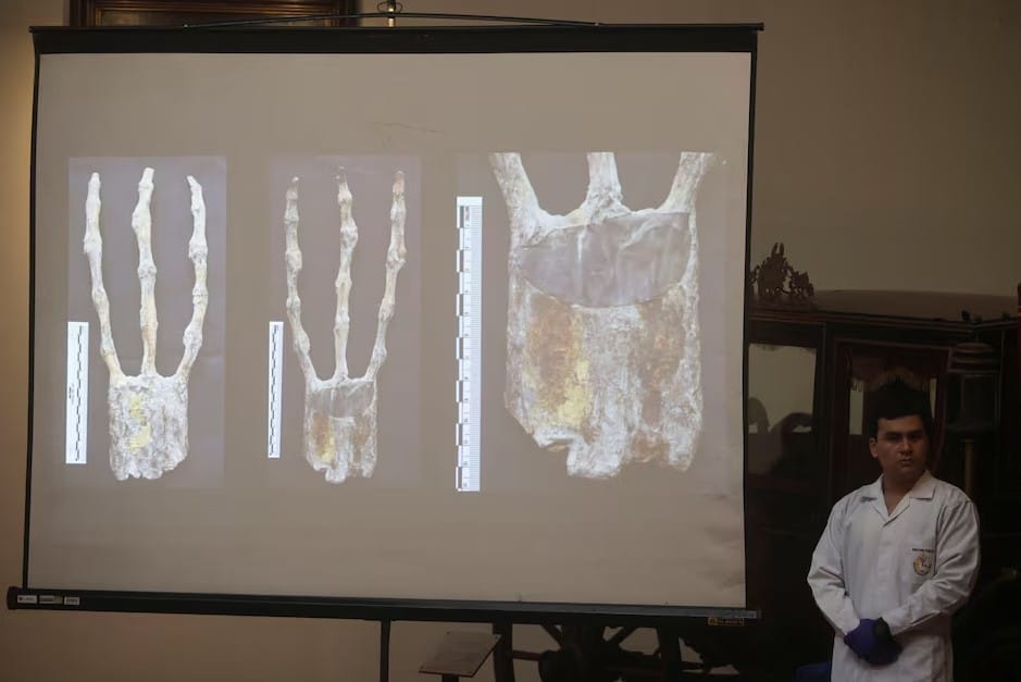 Alien Mummies with 3 Fingers found in South America | Esquire Middle ...