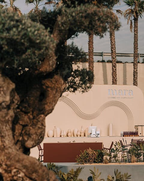 Marsa Boulevard: Dubai's newest creekside destination is a must-visit ...