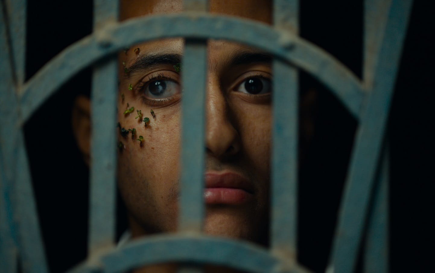12 Films from Doha Film Institute Selected for Venice Film Festival ...